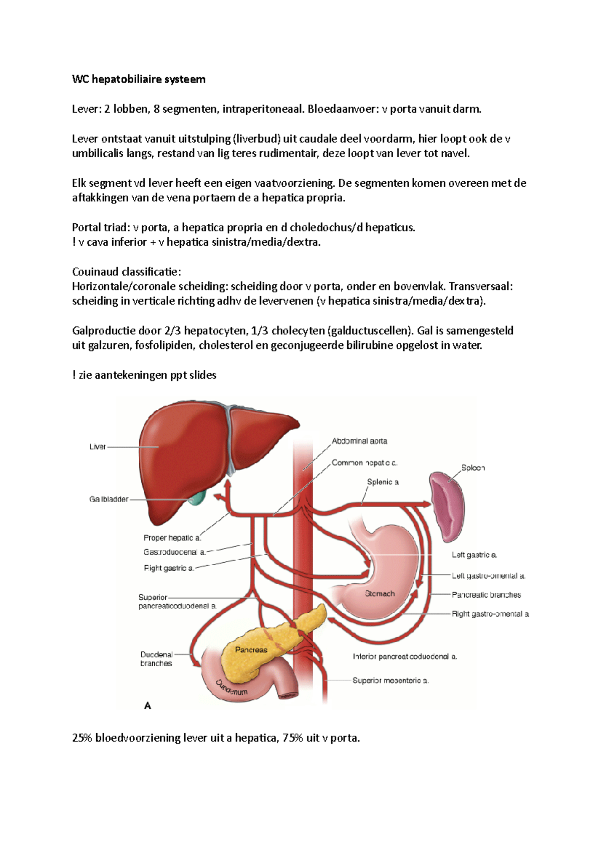 WC hepatobiliaire systeem - WC hepatobiliaire systeem Lever: 2 lobben ...