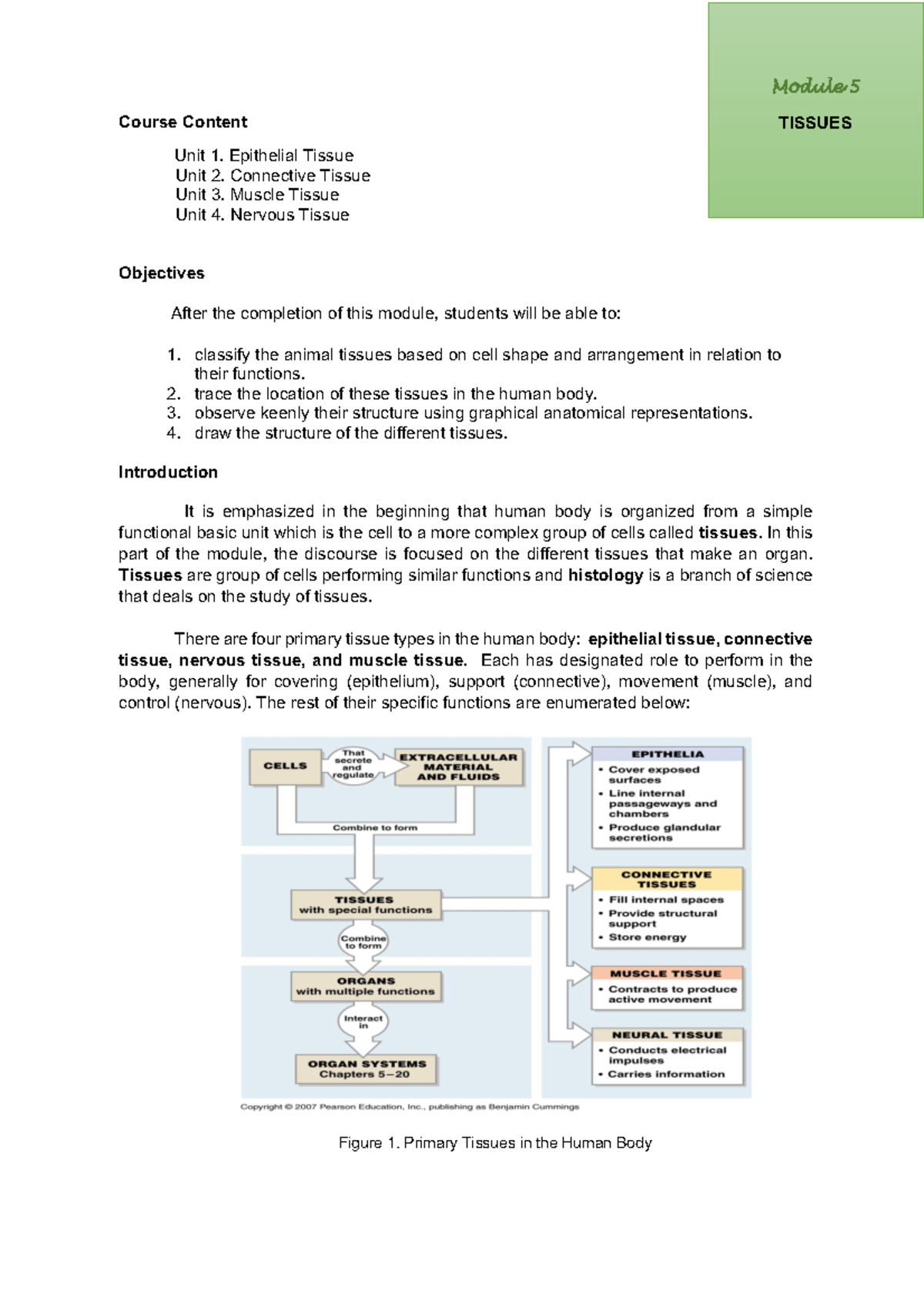 Module 5. Introduction to Tissues and its Parts - Course Content Unit 1 ...