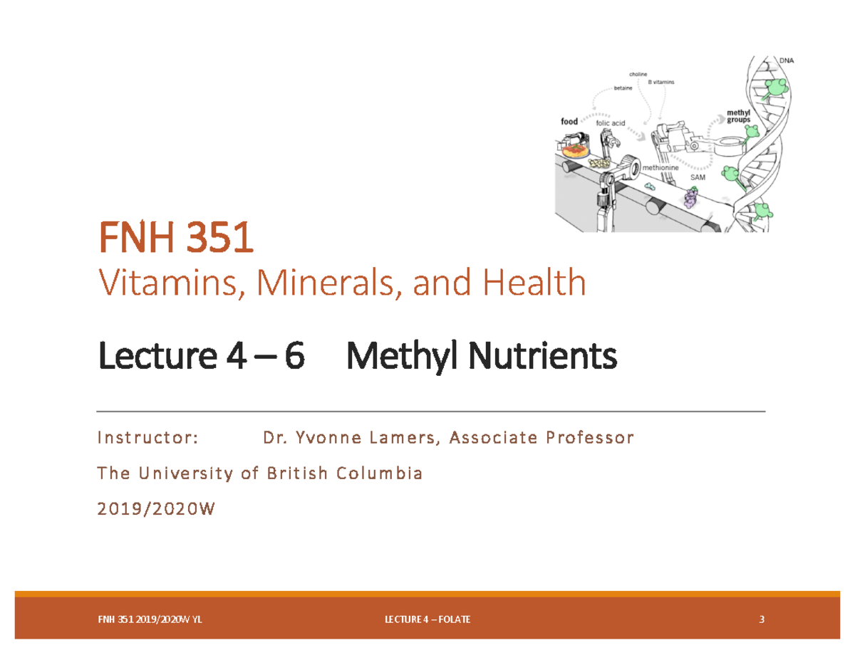 Lecture 4 Folate 2020 - Warning: TT: undefined function: 32 Warning: TT ...