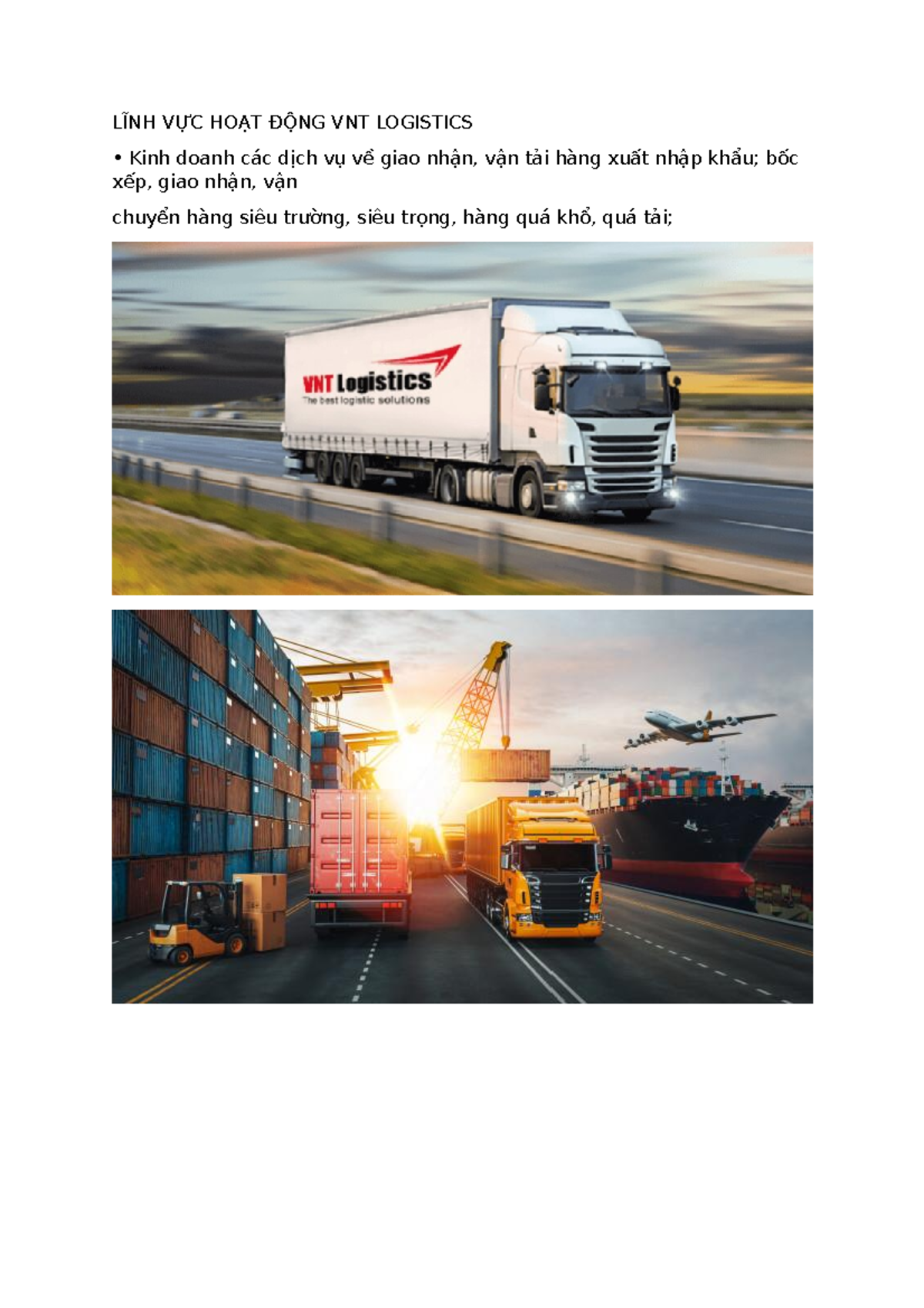 LĨNH VỰC HOẠT ĐỘNG VNT Logistics - LĨNH VỰC HOẠT ĐỘNG VNT LOGISTICS ...