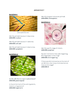 General Zoology Group Activity Lab Report General Zoology Exercise 1