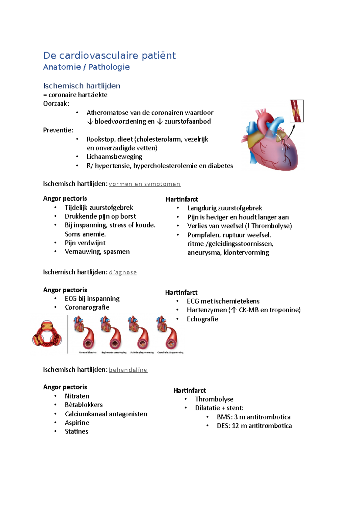 TAB 2 - Samenvatting van de pp - De cardiovasculaire patiënt Anatomie ...