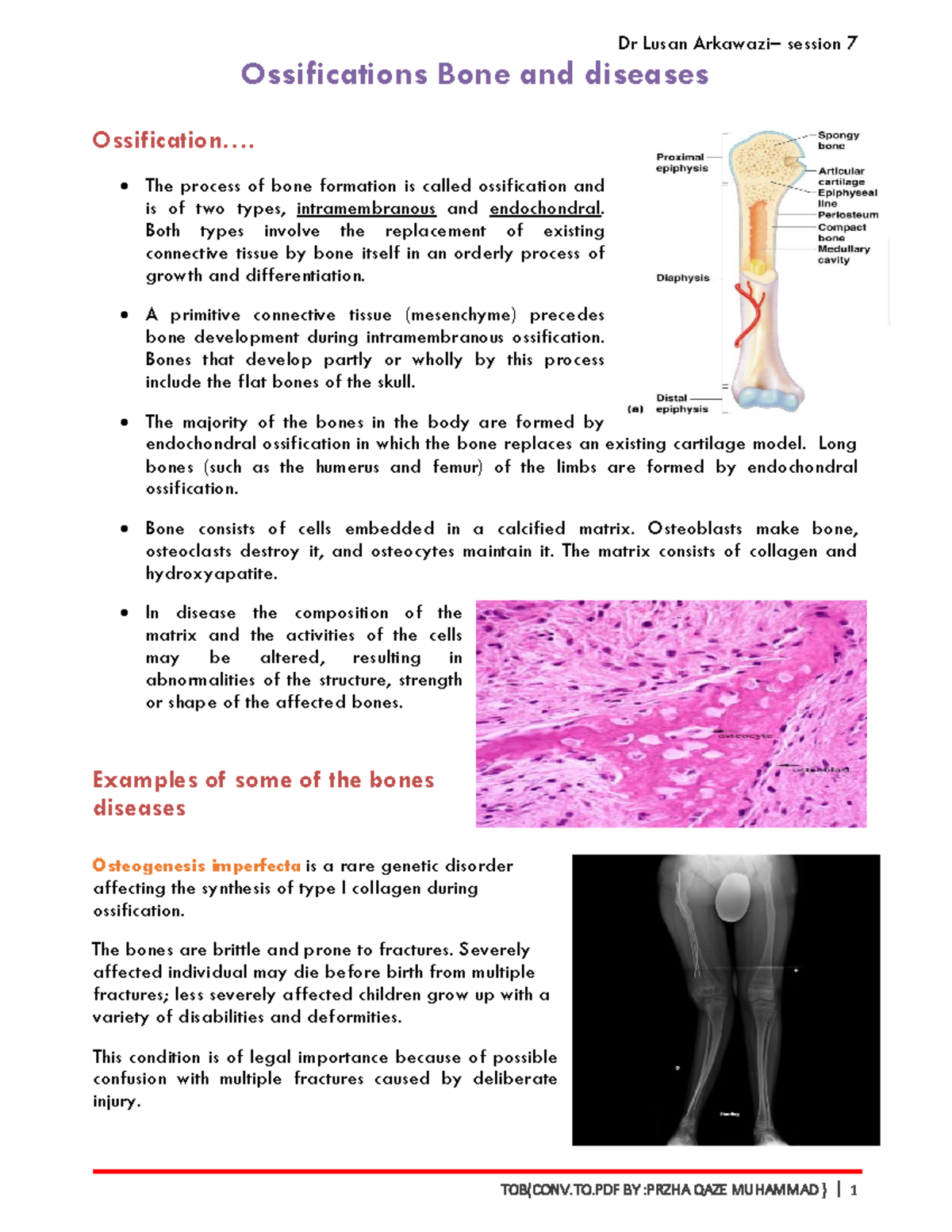 Ossification - Dr Lusan Arkawazi– session 7 Ossifications Bone and ...