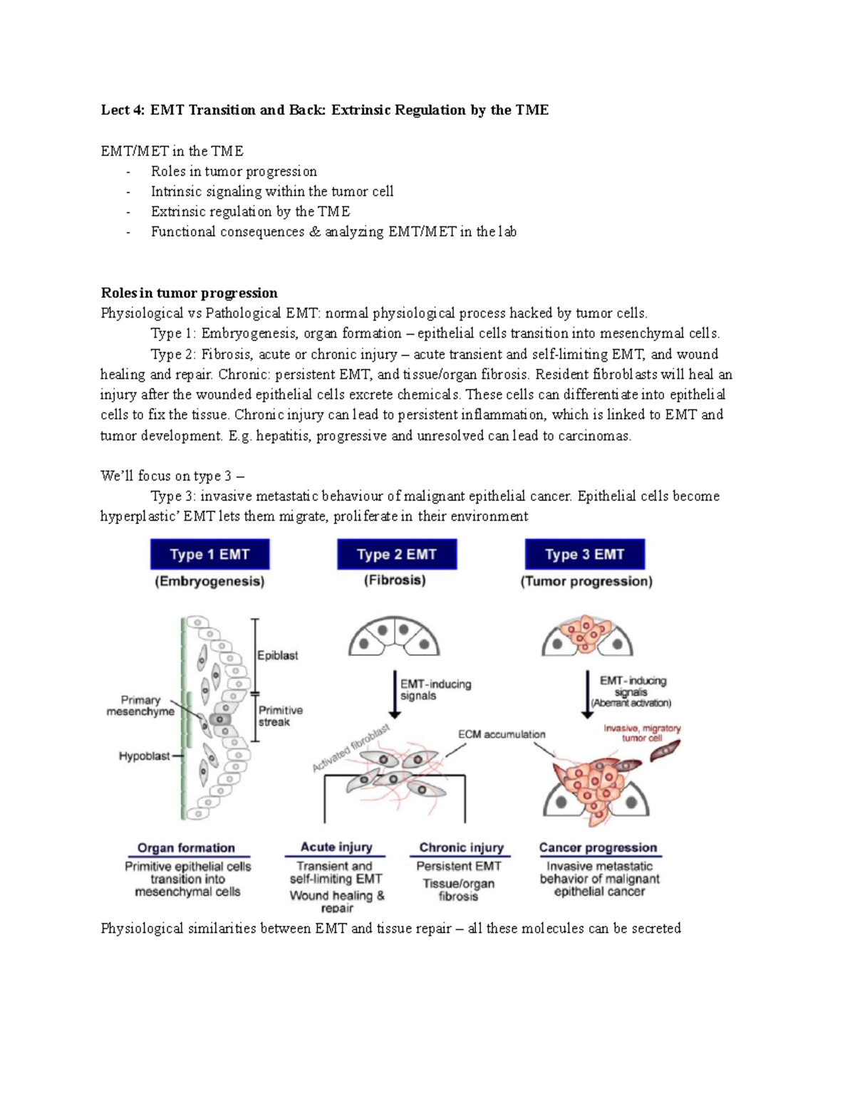 Lect 4 TME April 8 - Lecture notes 4 - Lect 4: EMT Transition and Back ...