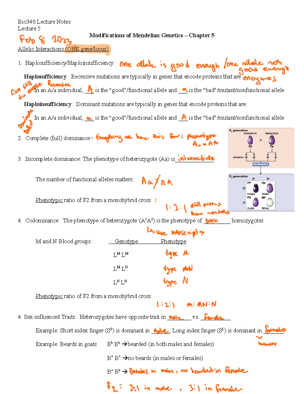 Lecture 04.Mendelian Modifications copy - Bio348 Lecture Notes Lecture ...