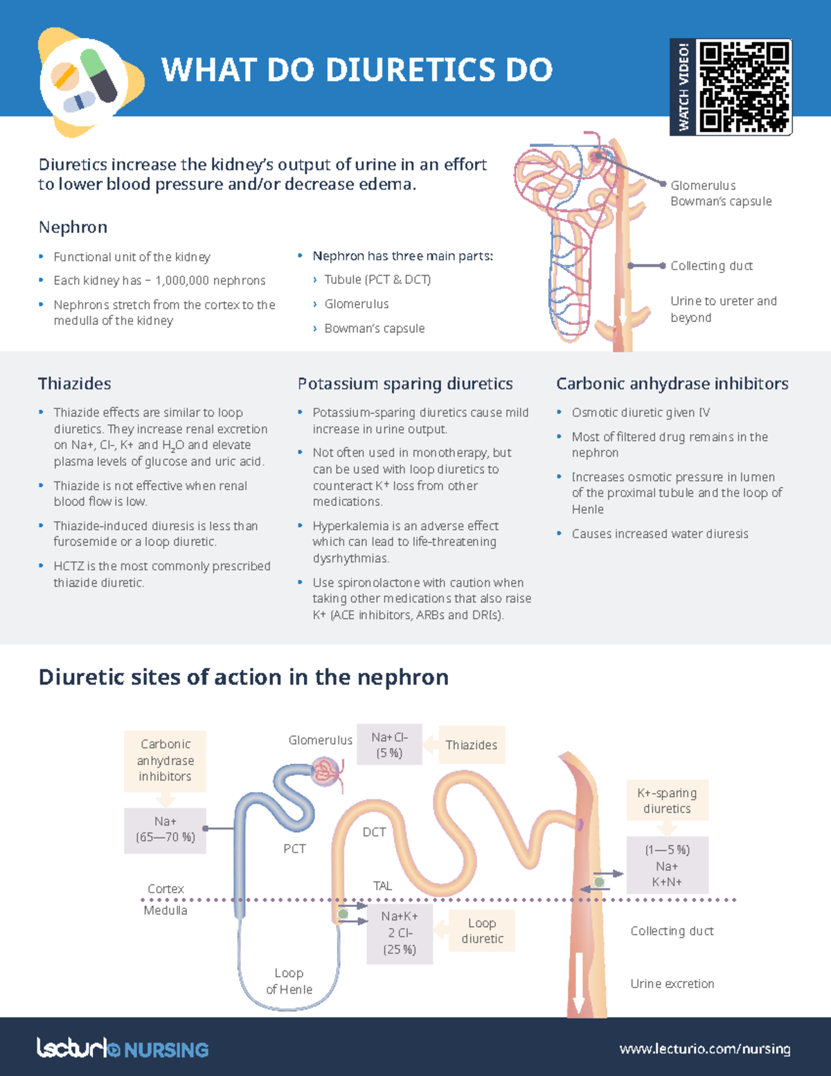 NURS Cheat Sheet What-do-Diuretics-do - lecturio/nursing Glomerulus PCT ...