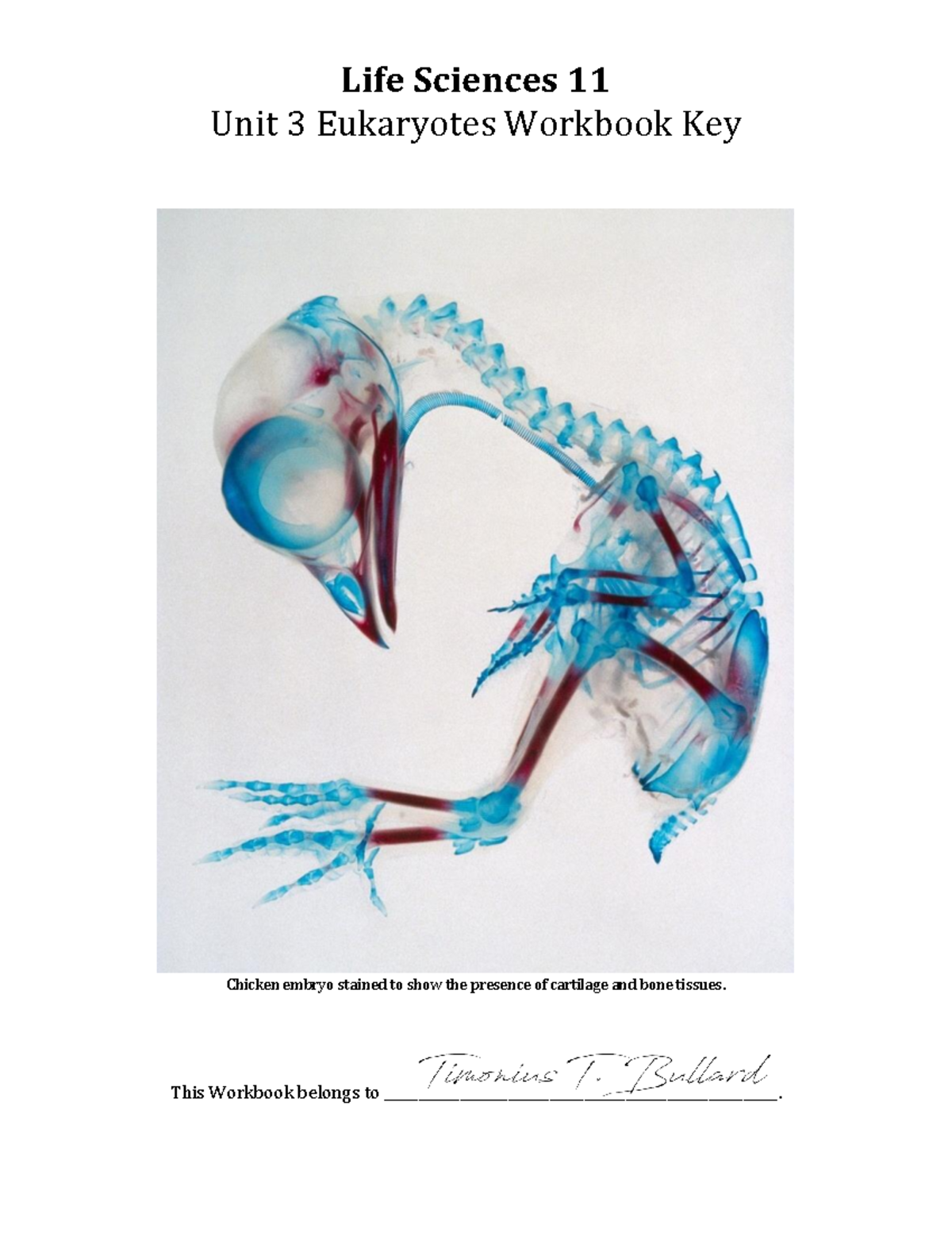 Unit 3 Eukaryotes Chapter - Life Sciences 11 Unit 3 Eukaryotes Workbook ...