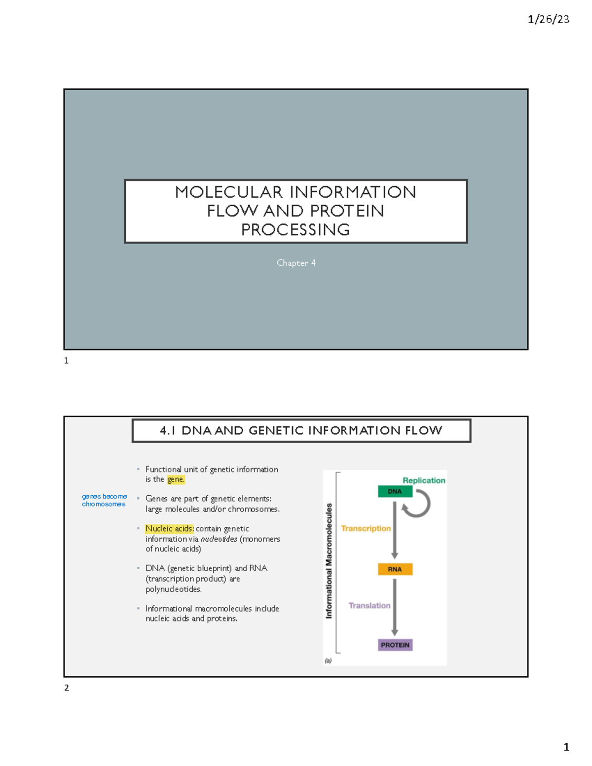 SP23 Module 3 (in progress-complete) - MOLECULAR INFORMATION FLOW AND ...
