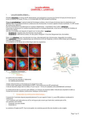 Chap2 - transport vésiculaire - UE : Dynamique de la cellule Chapitre 2 : Le transport ...