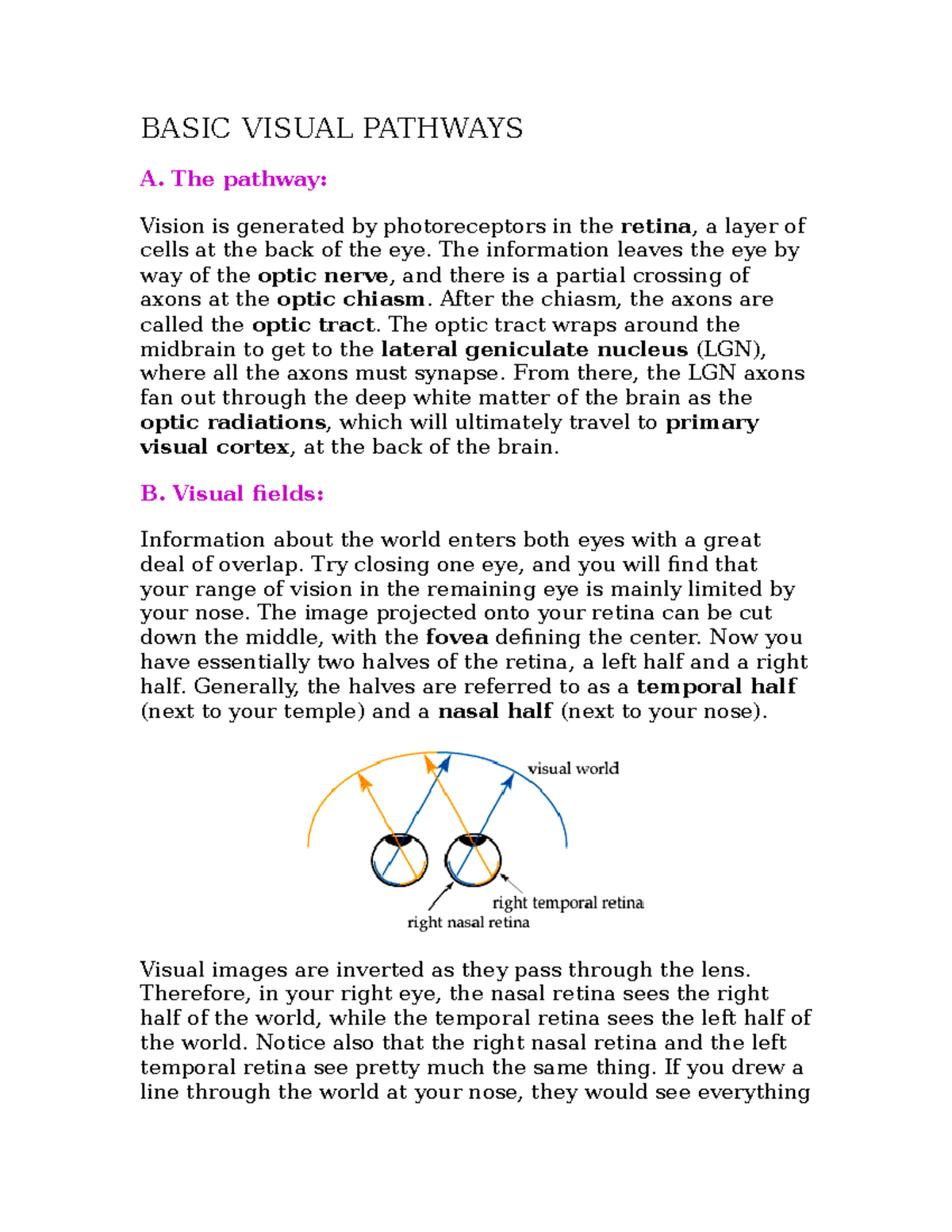 Basic Visual Pathways - BASIC VISUAL PATHWAYS A. The pathway: Vision is ...