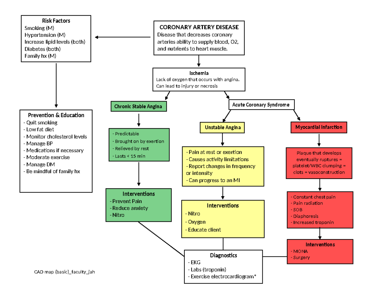 Coronary artery disease map - CAD map (basic)_faculty_jah CORONARY ...