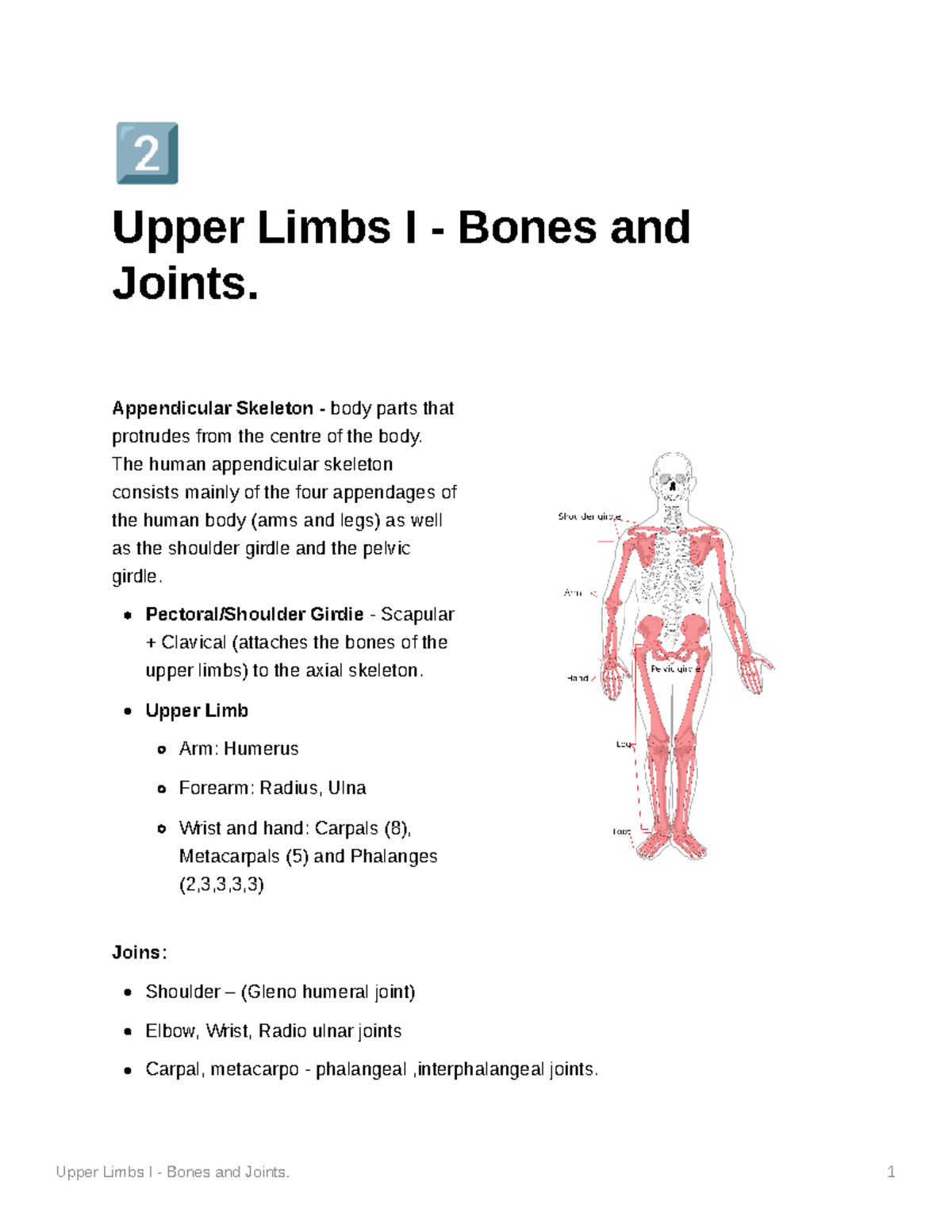 Upper Limbs I - Bones and Joints - Appendicular Skeleton - body parts ...