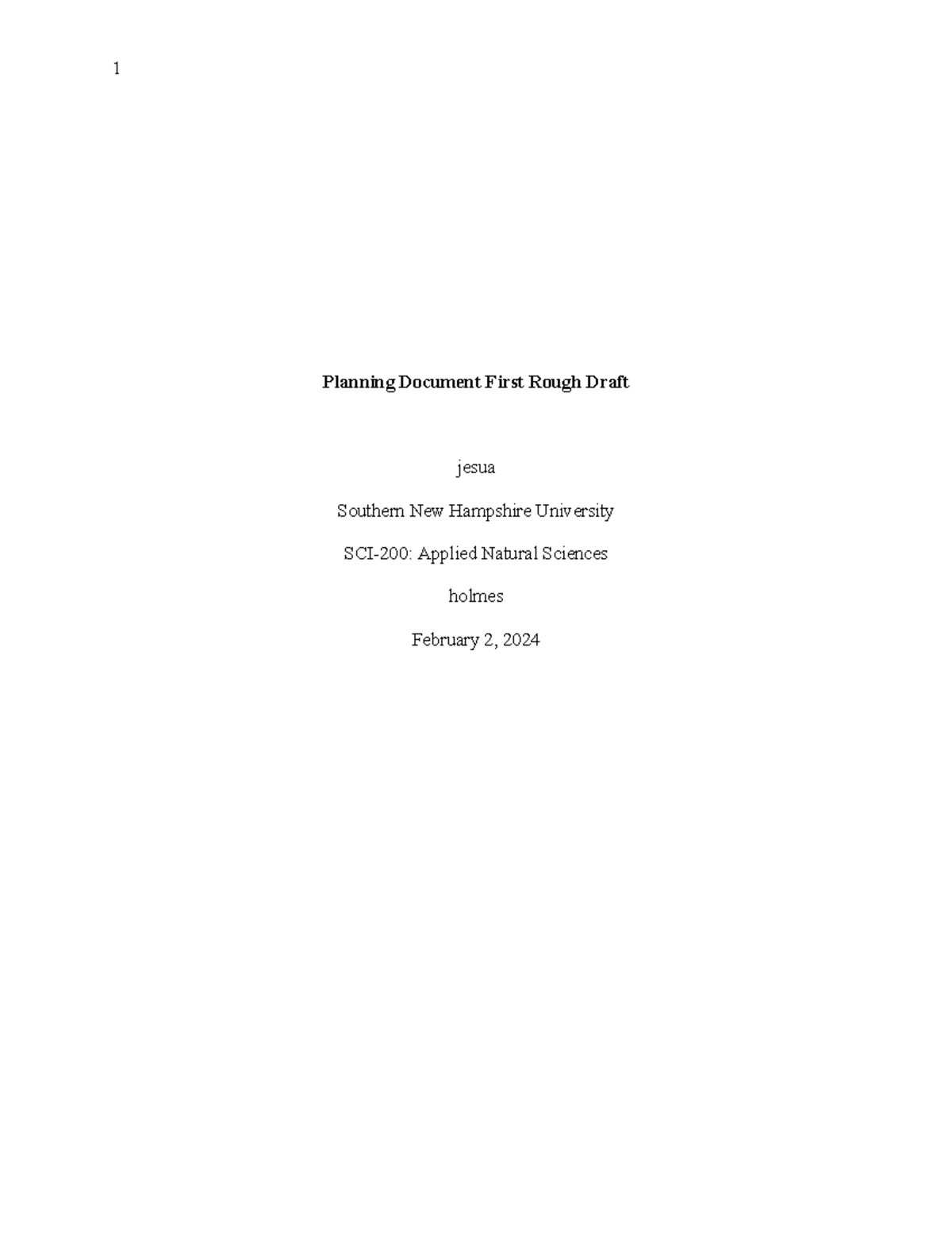 Planning Document First Rough Draft - Planning Document First Rough ...