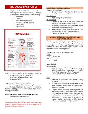 Anatomy Physiology (Chapter 4 Tissue) - TISSUES Chapter 4 SEELEY'S ...