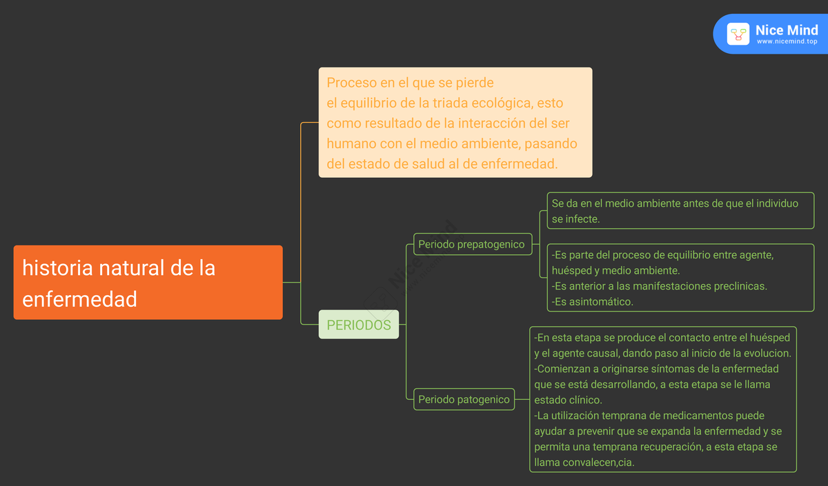 Mapa mental - historia natural de la enfermedad PERIODOS Periodo ...