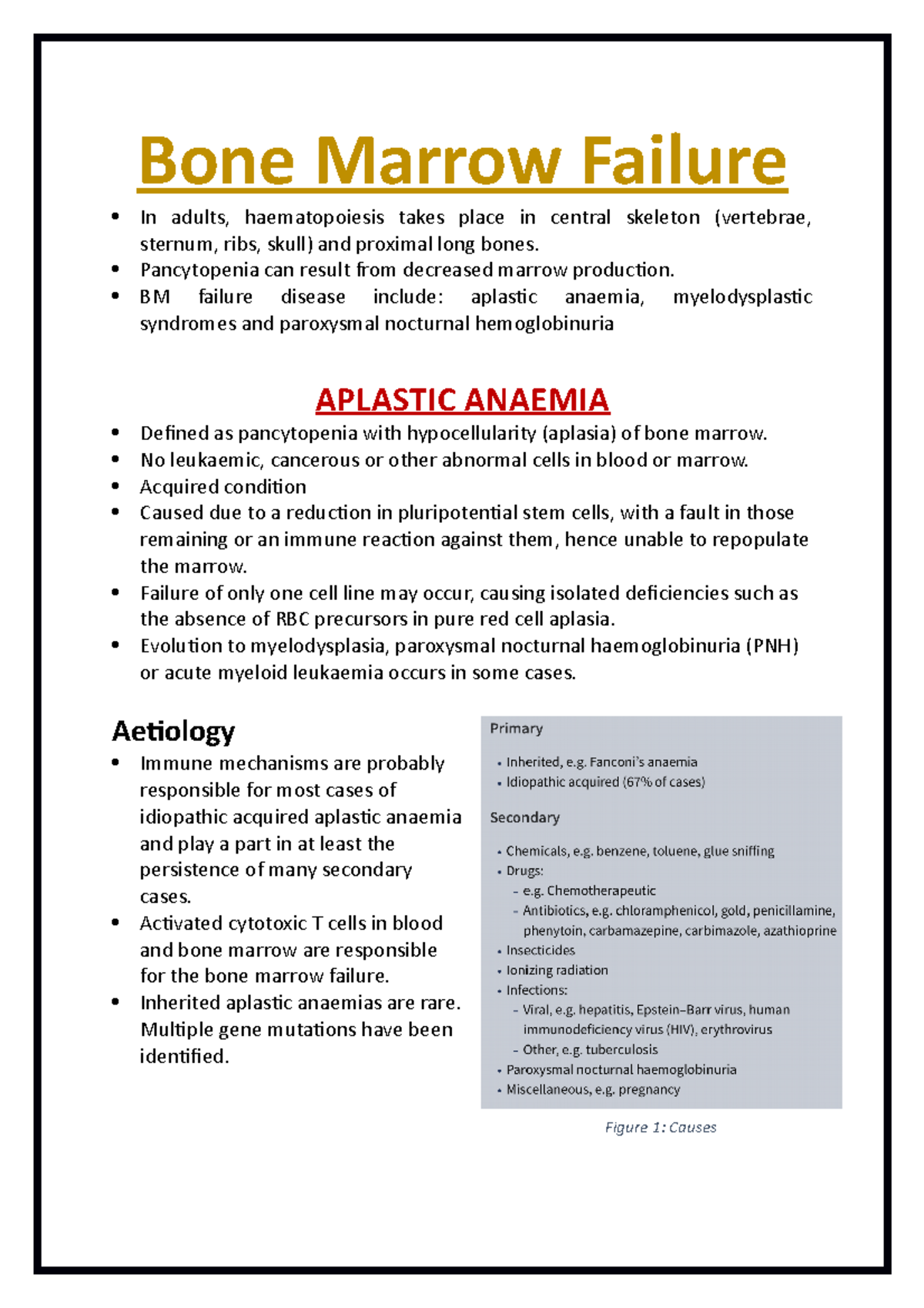 Bone Marrow Failure - Haematology - Bone Marrow Failure In adults ...
