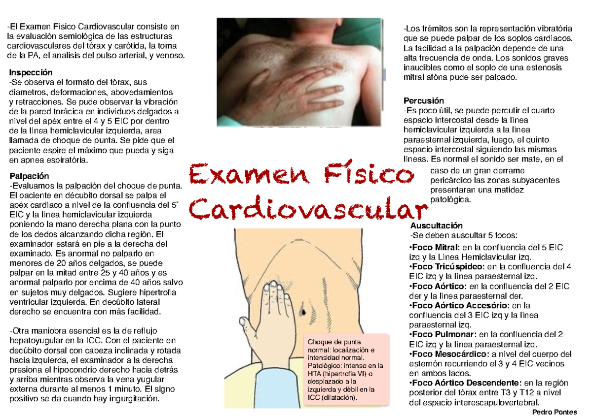 3 Examen F sico Cardiovascular Examen F sico Cardiovascular El