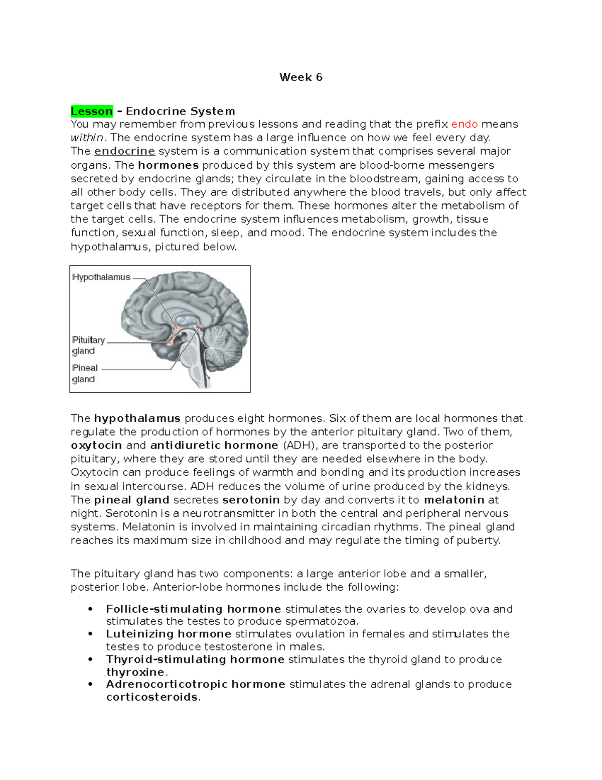 Week 6 Lecture - Dr. Adila Nathu - Week 6 Lesson – Endocrine System You ...