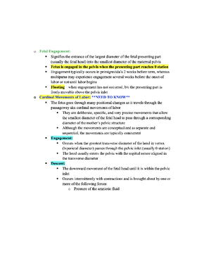 430 Practice B Spina Bifida - ACTIVE LEARNING TEMPLATES System Disorder ...