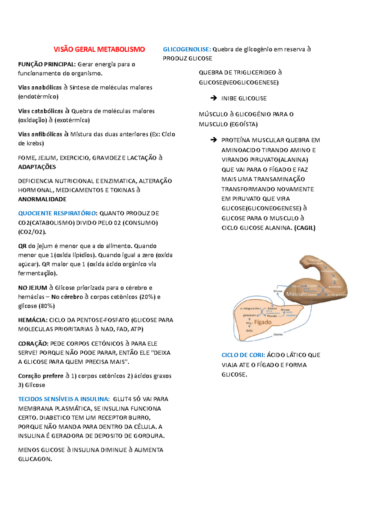 Resumo bioquimica - VISÃO GERAL METABOLISMO FUNÇÃO PRINCIPAL: Gerar ...