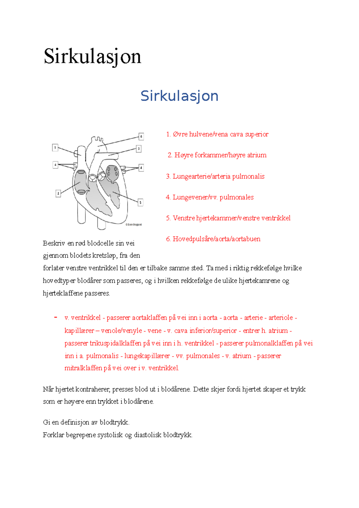 Sirkulasjon - øving til eksamen - Sirkulasjon Sirkulasjon Beskriv en rød blodcelle sin vei ...