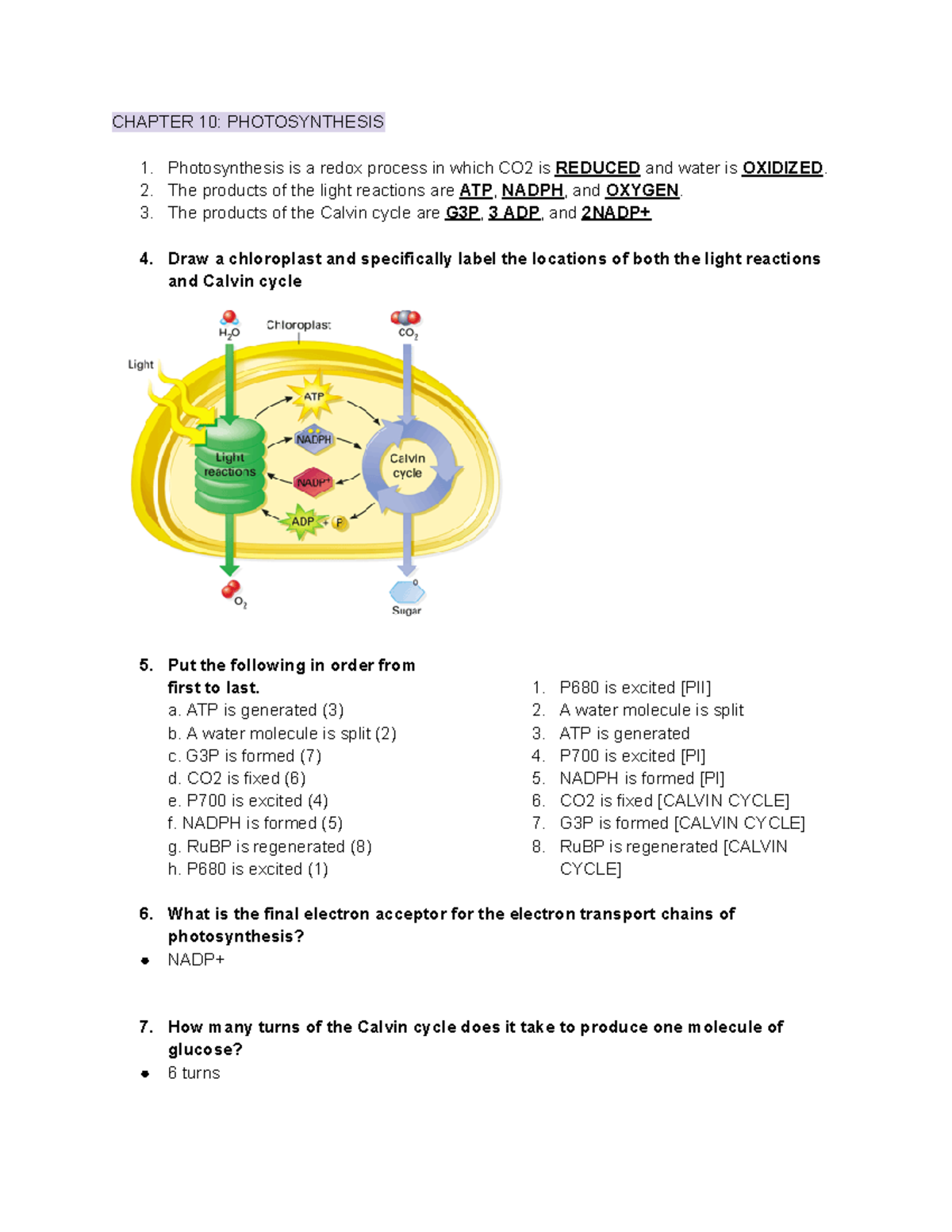 General Biology I Chapter 10 (Photosynthesis) part 1 - CHAPTER 10 ...