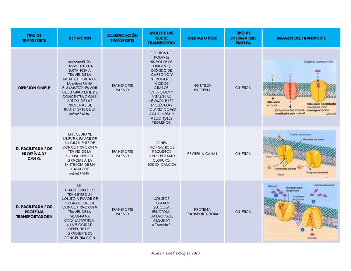 Cuadro comparativo. Tipos de transporte celular - TIPO DE TRANSPORTE DEFINICIÓN CLASIFICACIÓN ...