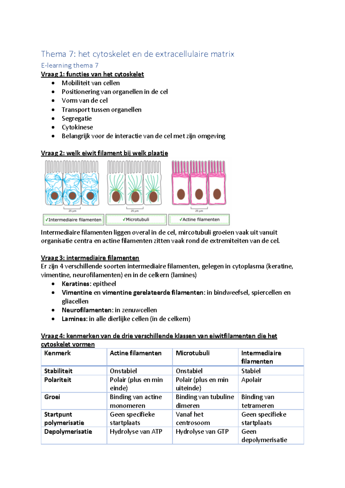 E-learning thema 7 - het cytoskelet en de extracellulaire matrix ...