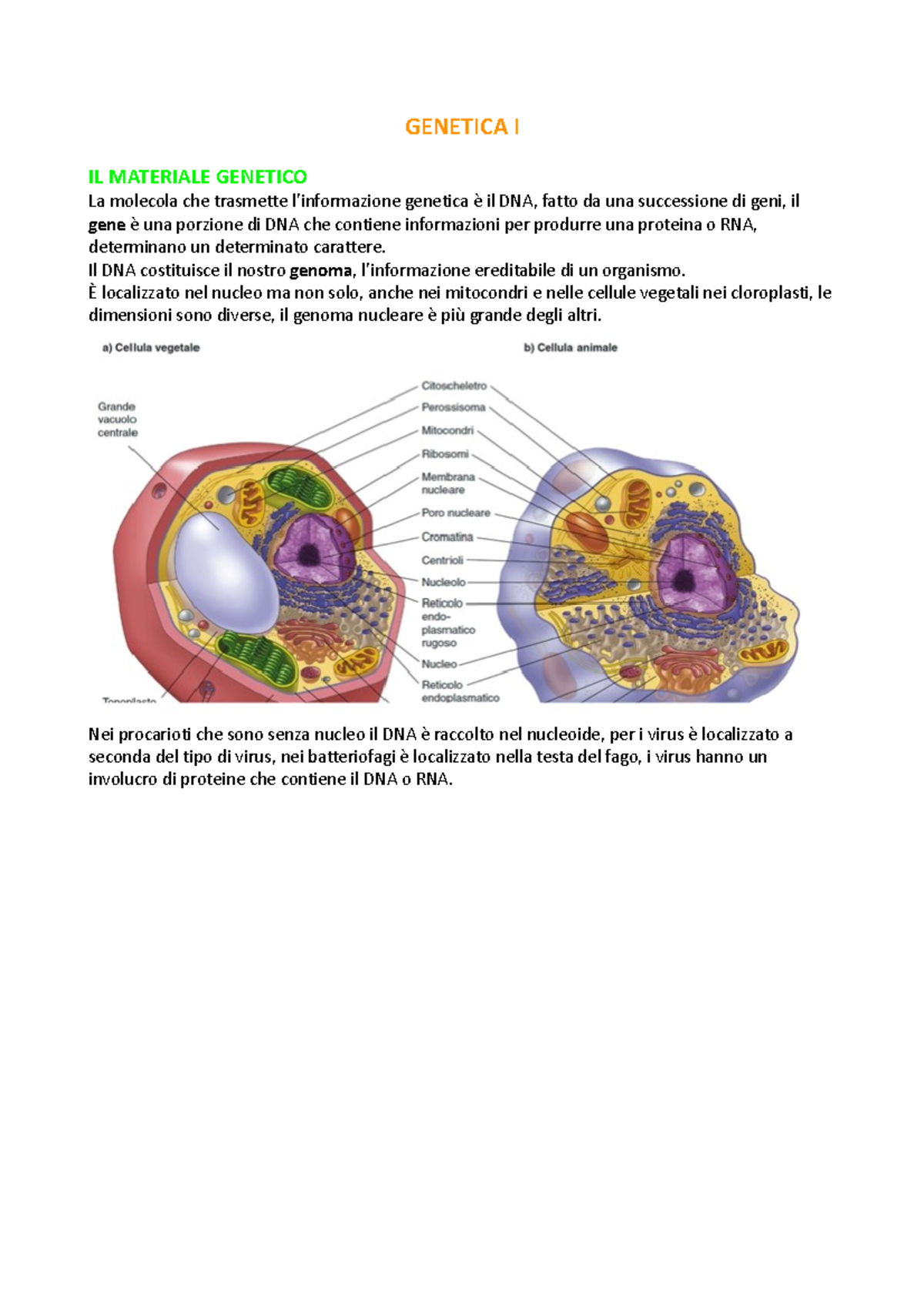 Genetica I - GENETICA I IL MATERIALE GENETICO La molecola che trasmette ...