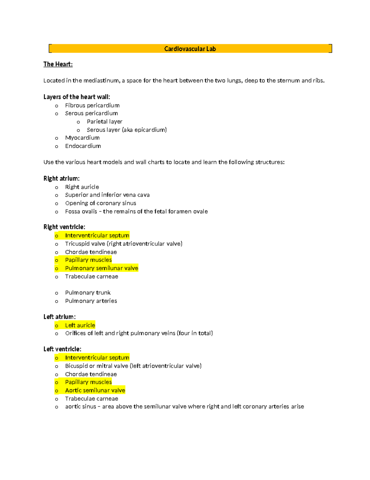Cardiovascular System Lab - Cardiovascular Lab The Heart: Located in ...