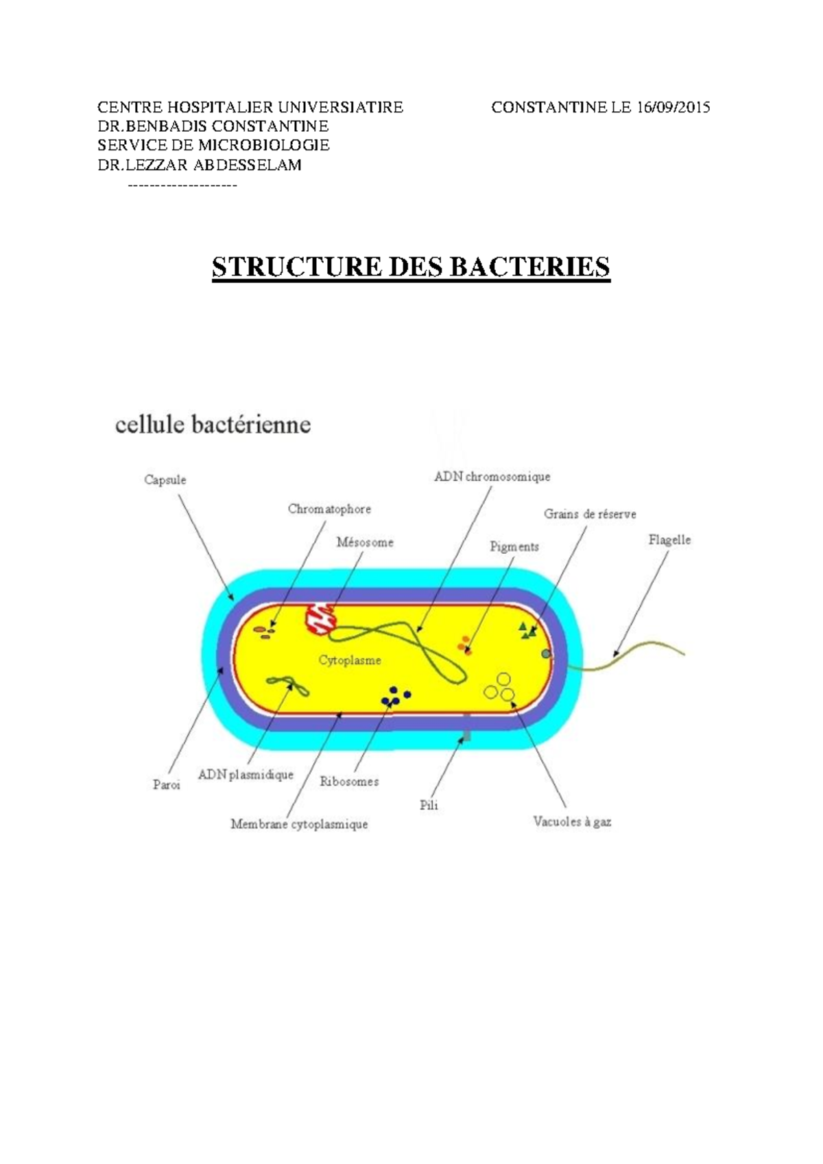Structure bactérienne cours 1 - CENTRE HOSPITALIER UNIVERSIATIRE ...