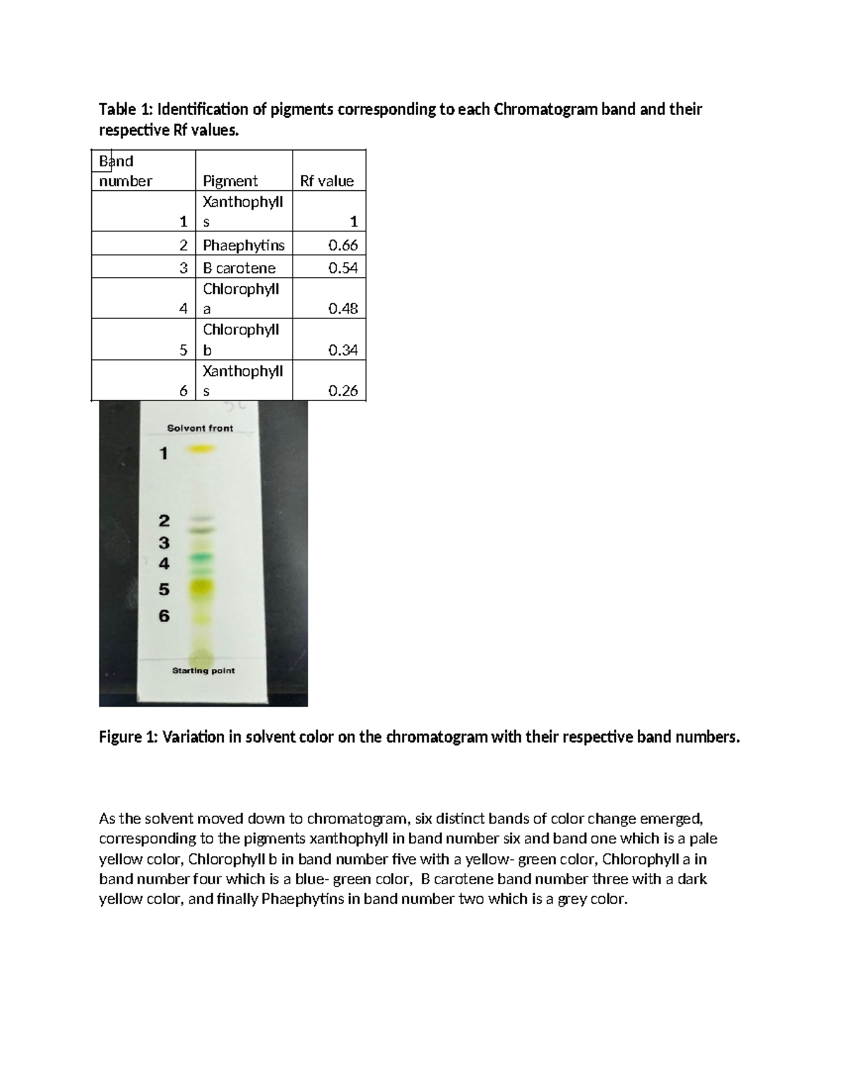Photosynthesis 1 word doc - Table 1: Identification of pigments ...