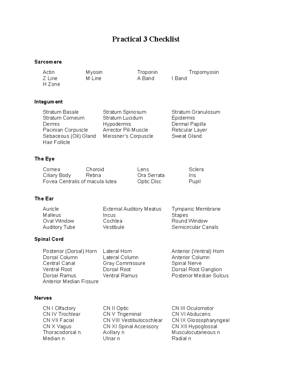 Practical 3 terms - Practical 3 Checklist Sarcomere Actin Myosin ...