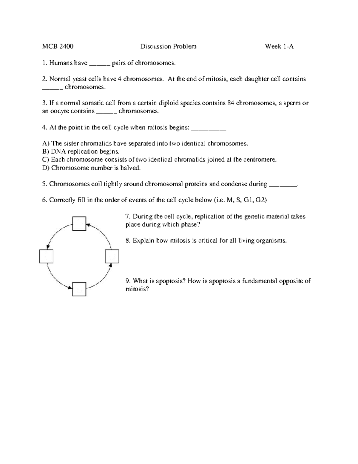 Cell Cycle And Mitosis Worksheet Promotiontablecovers cell-cycle-and-mitosis-worksheet-promotiontablecovers