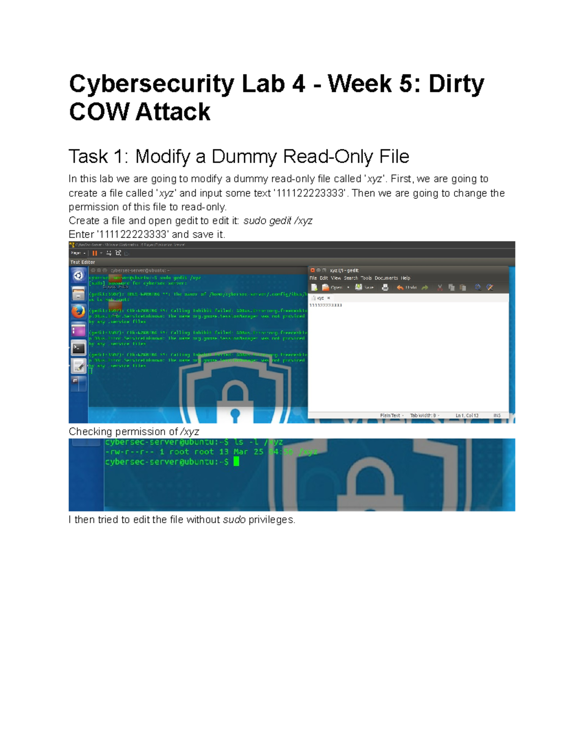 Cyber Sec Lab 4 - Cybersecurity Lab 4 - Week 5: Dirty COW Attack Task 1: Modify a Dummy Read ...