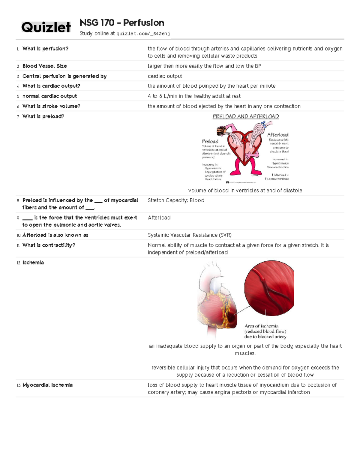 170Perfusion - Notes - What is perfusion? the flow of blood through ...