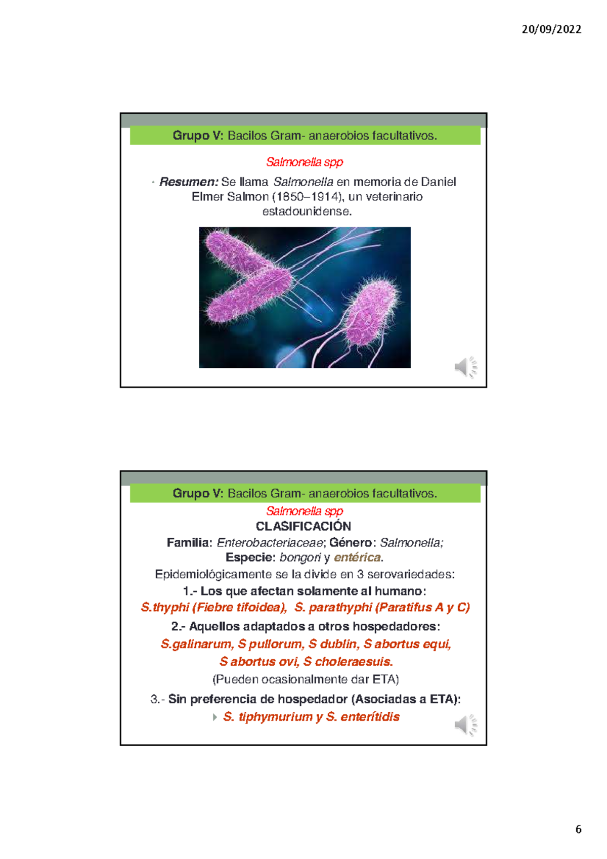 Salmonella - Salmonela características bioquimicas, patogenia, sintomas ...