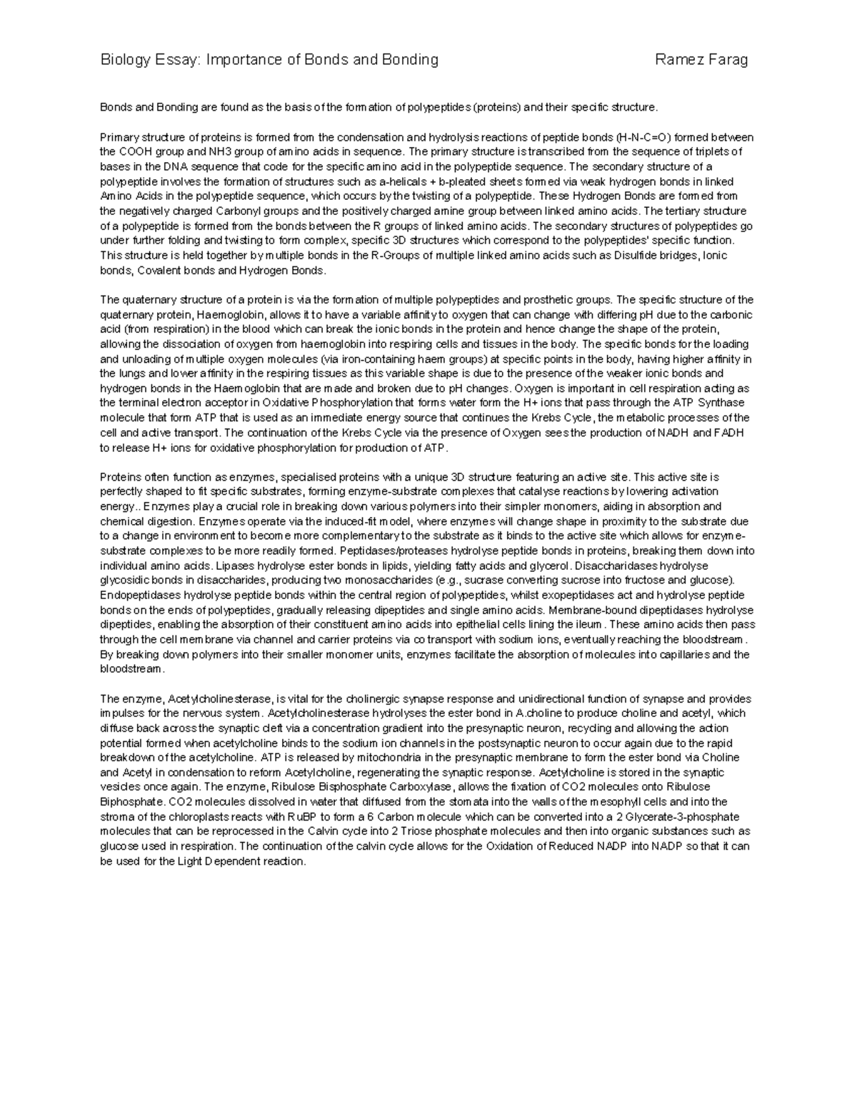 Biology Essay - Primary structure of proteins is formed from the ...