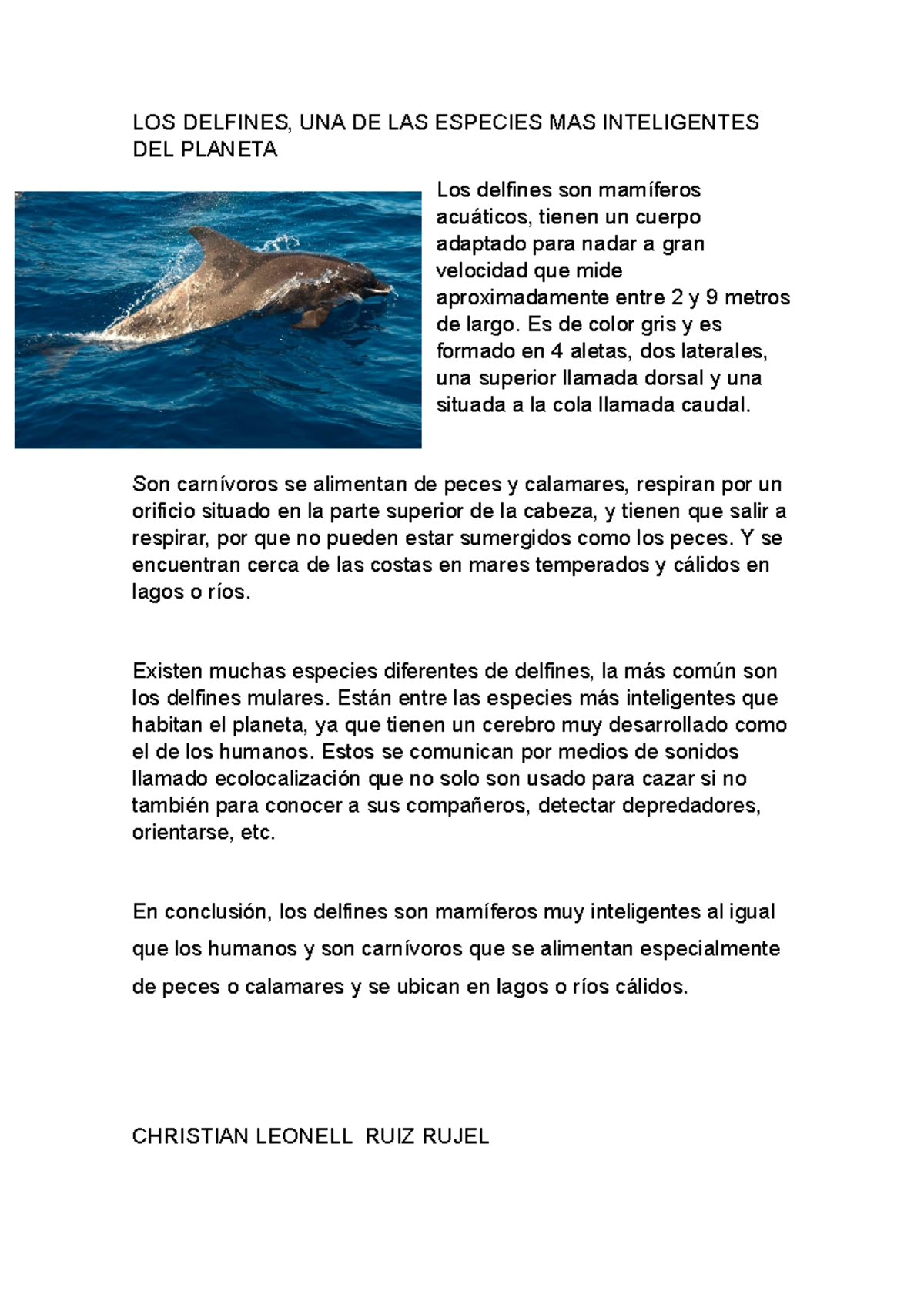 LOS Delfines, UNA DE LAS Especies MAS Inteligentes DEL Planeta - LOS ...