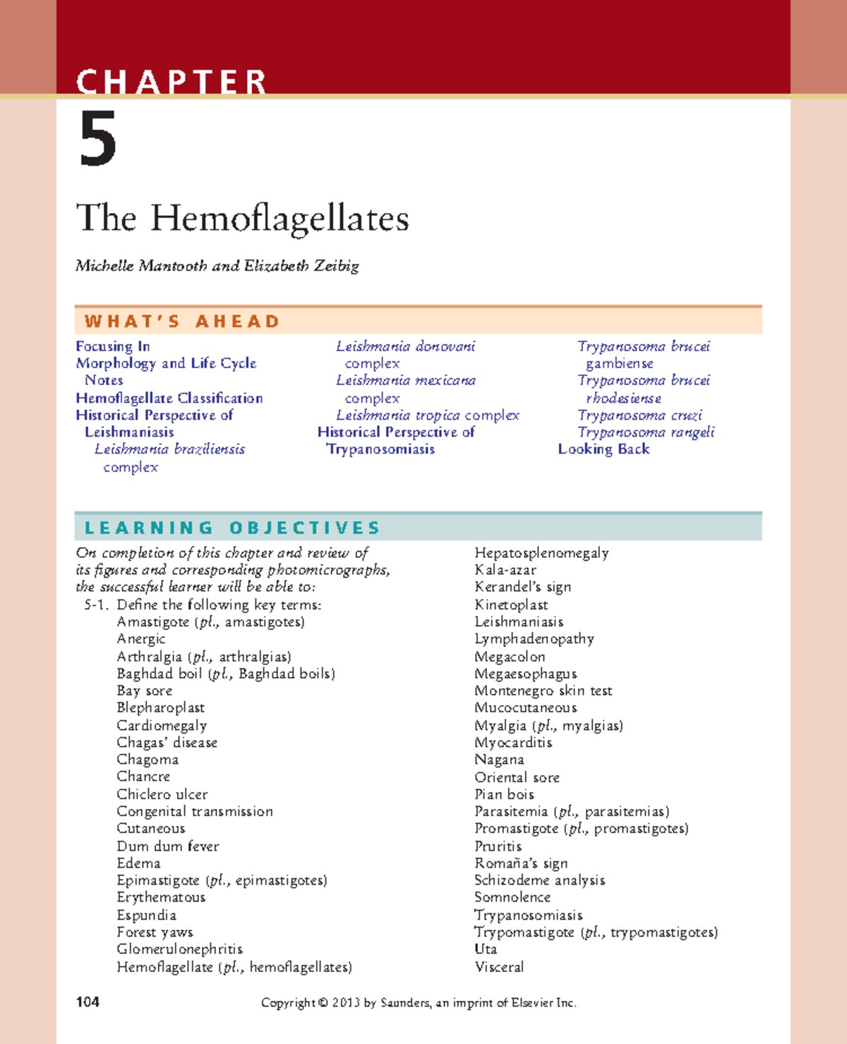 Chapter-5 - Book - 104 Copyright © 2013 by Saunders, an imprint of ...