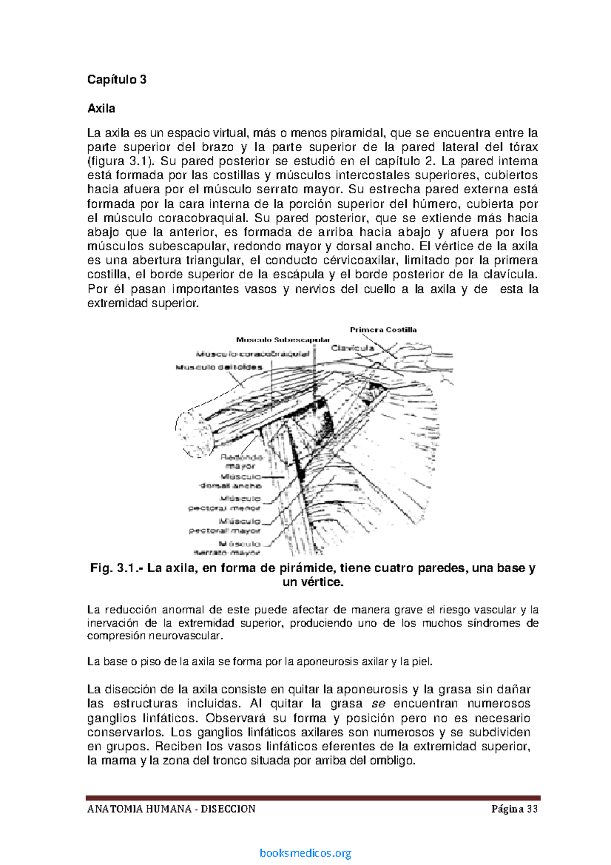 Axila 1 - Resumen - ANATOMIA HUMANA - DISECCION Página 33 Capítulo 3 ...
