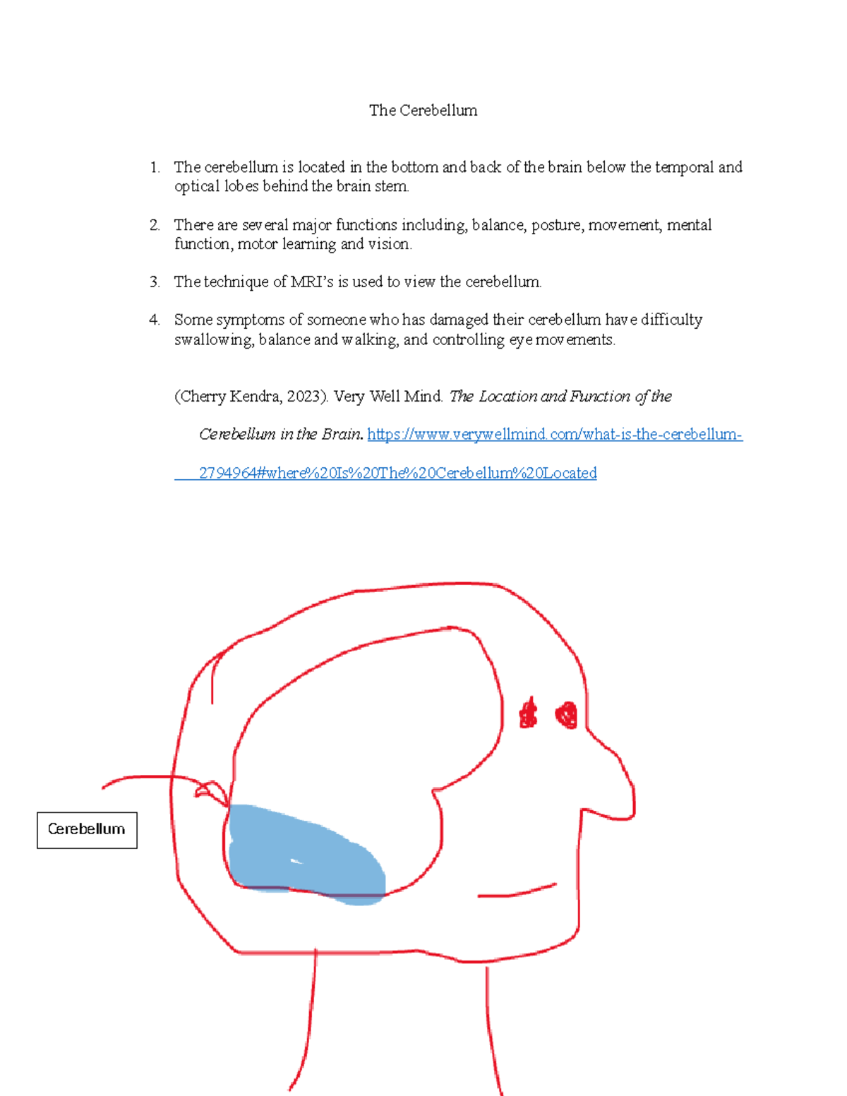 Mini Project The Brain - homework - The Cerebellum The cerebellum is ...