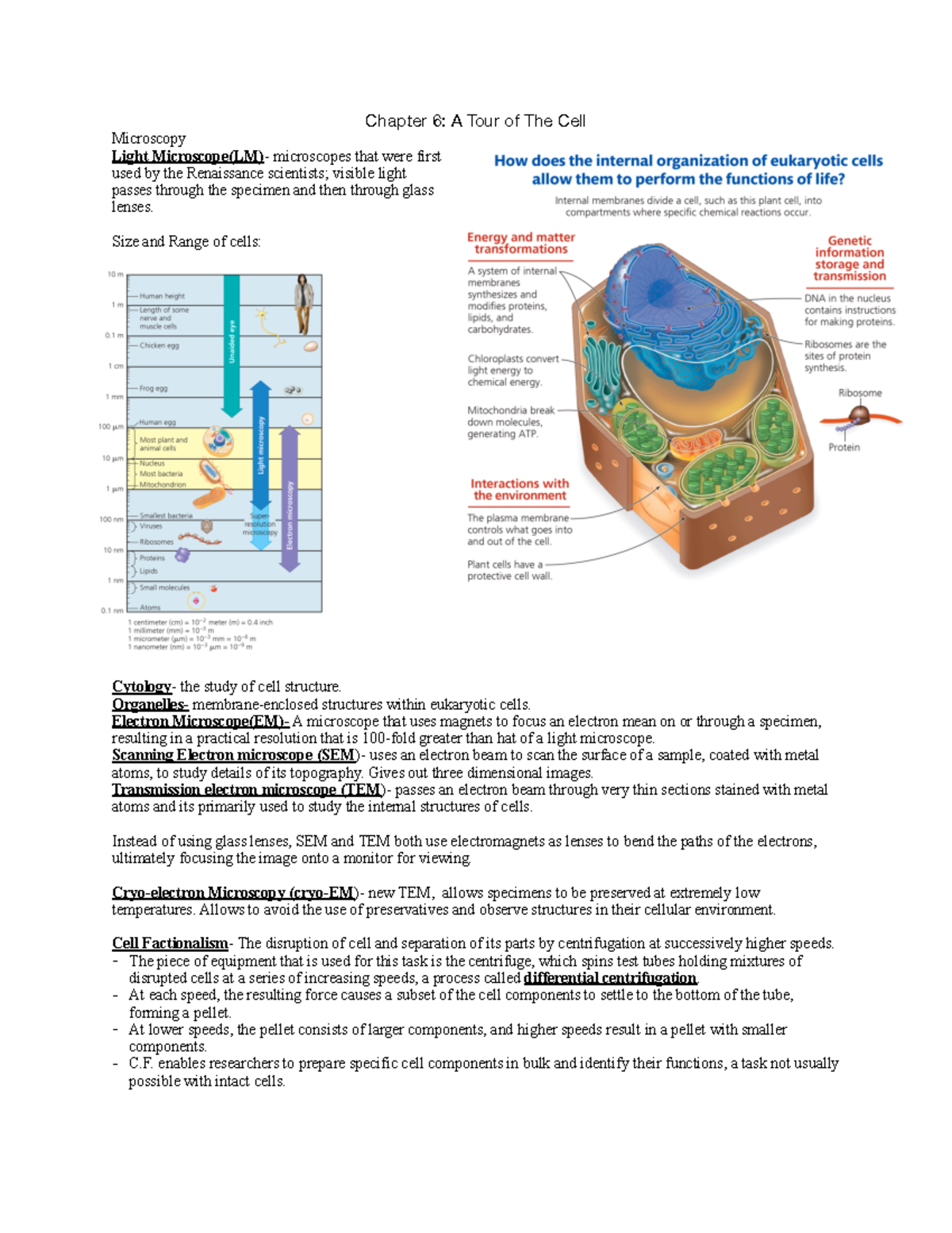 BIO chapter 6 - Detailed, manually types notes based on textbook ...