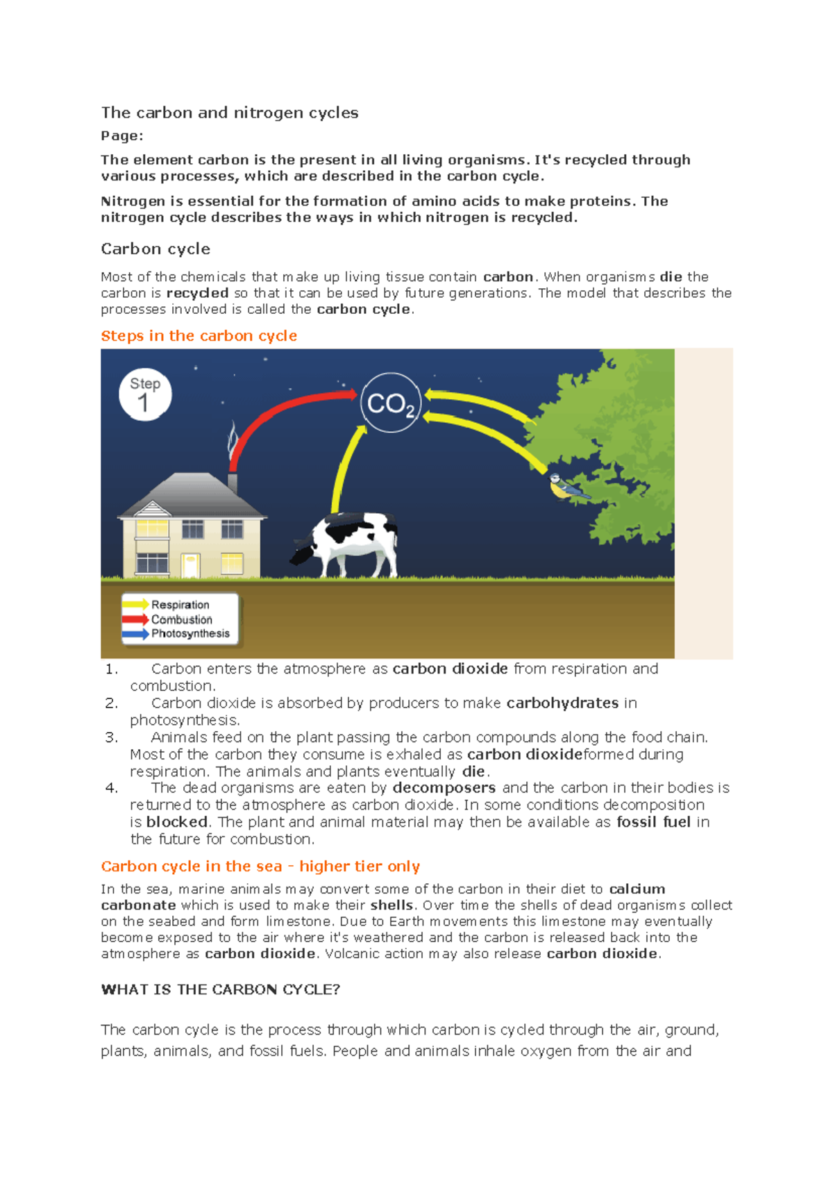 The carbon and nitrogen cycles - The carbon and nitrogen cycles Page ...