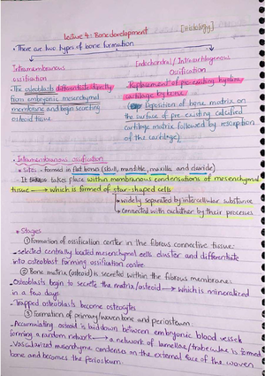 Lucia arabefinal - Raqs al Shamadan La danza del candelabro o Raks ...