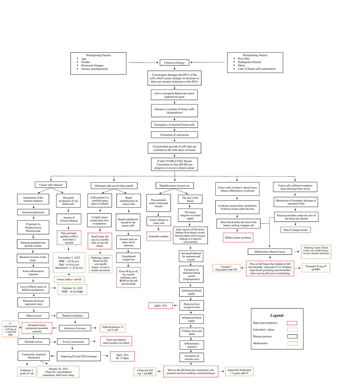Breast-Cancer-patho - patho - Predisposing Factors Age Gender Hormonal ...