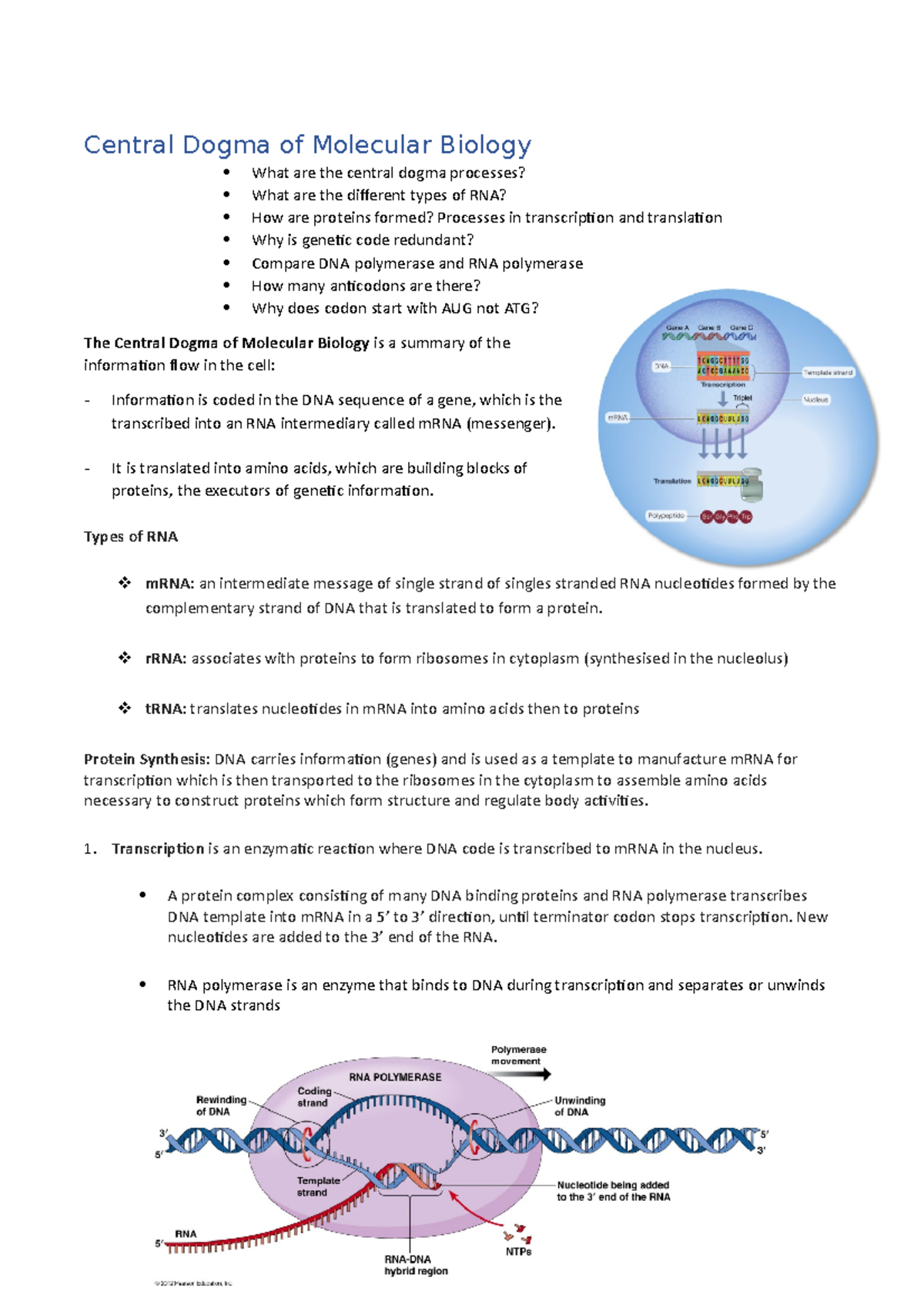 BIOL1040 Module 2 - Central Dogma of Molecular Biology What are the ...