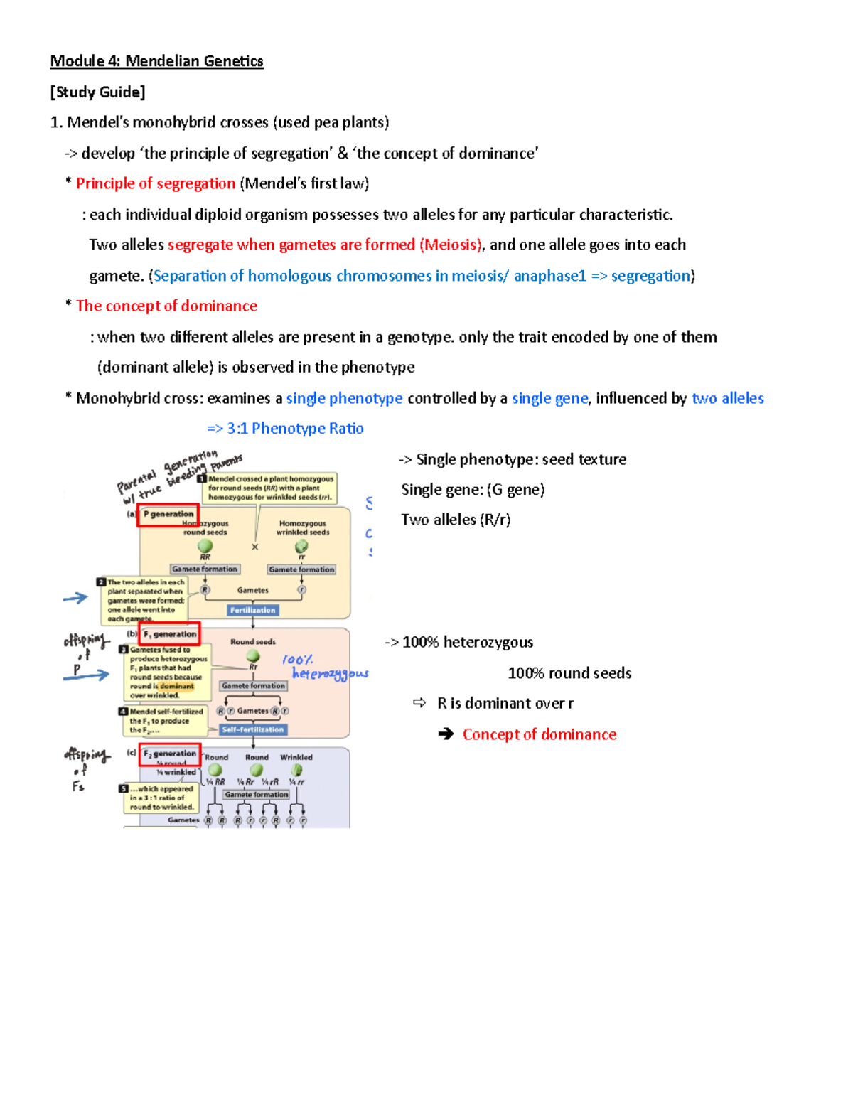 GEN Exam2 Study Guide Note - Module 4: Mendelian Genetics [Study Guide ...