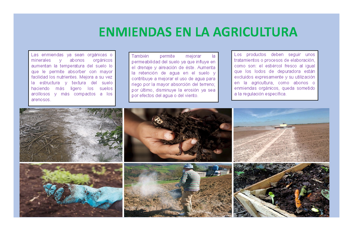 Enmienda Agricola - todo sobre el campo - ENMIENDAS EN LA AGRICULTURA ...
