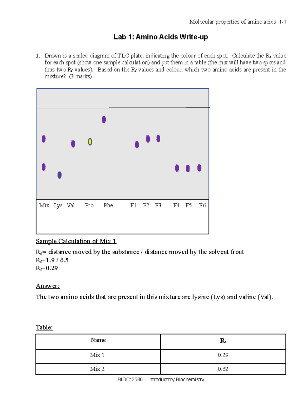 Amino Acid Lab Write-up Template - Molecular properties of amino acids ...